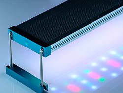 DOOA Terra Line – Aqua Forest Aquarium