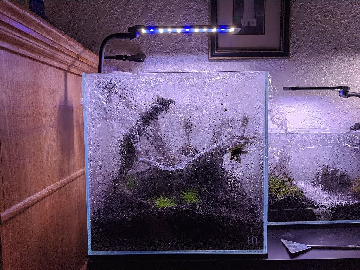 Dymax Flexz Nano LED Light For Nano Planted Aquarium Tank – Glass Aqua