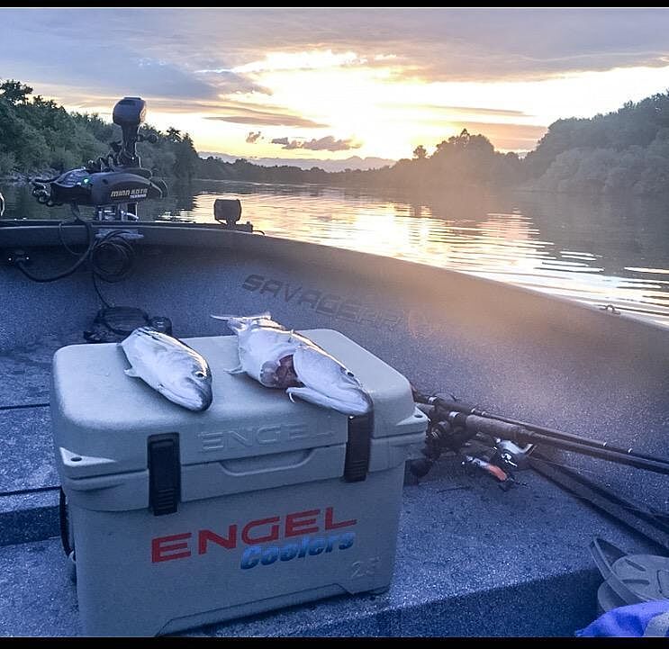 Engel 25 High Performance Hard Cooler and Ice Box – Engel Coolers