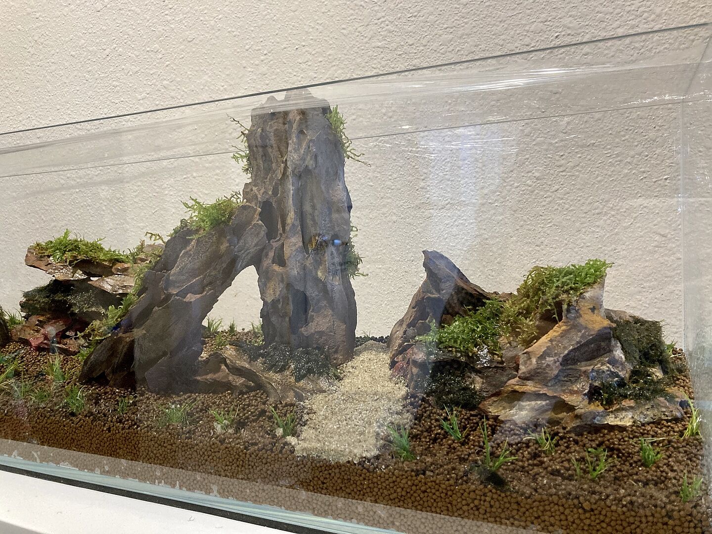 Dragon Stone Ohko Stone Popular Aquarium Hardscape for Aquascaping ...