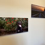 Mpix Reviews - 43,249 Reviews from Mpix Customers : Mpix