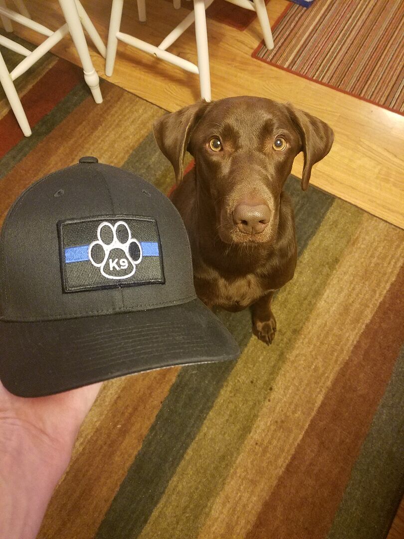 FlexFit Hat K9 Unit, Black - Thin Blue Line USA