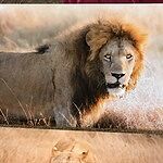 Mpix Reviews - 44,462 Reviews from Mpix Customers : Mpix