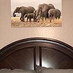 Mpix Reviews - 44,462 Reviews from Mpix Customers : Mpix