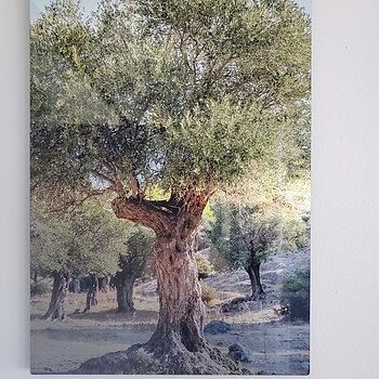 Mpix™ Custom Photo Metal Prints