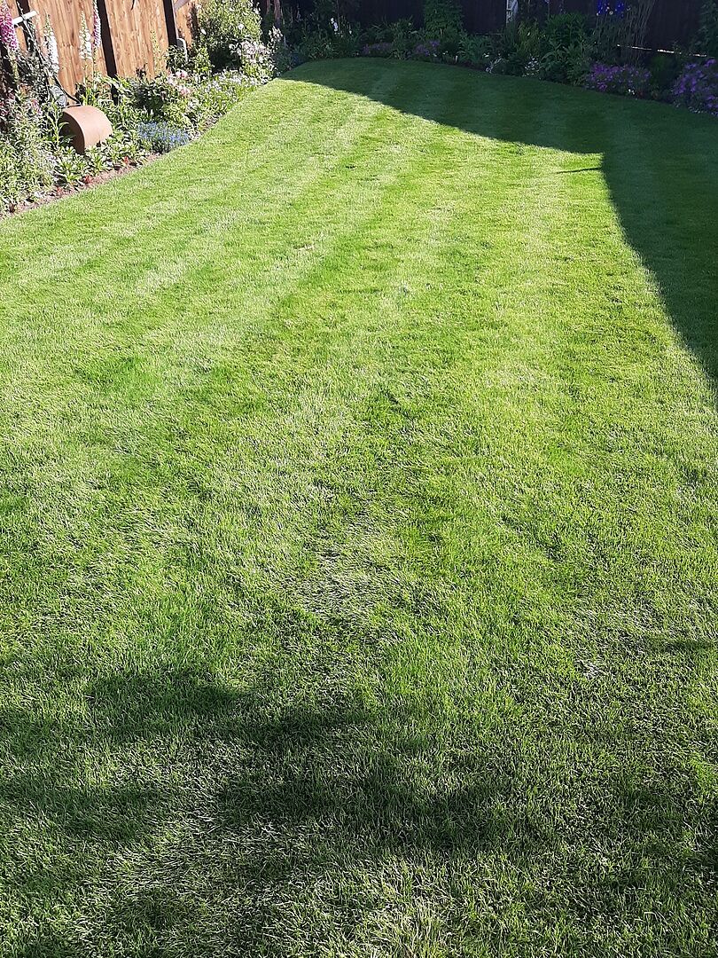 Your Lawn Care Calendar