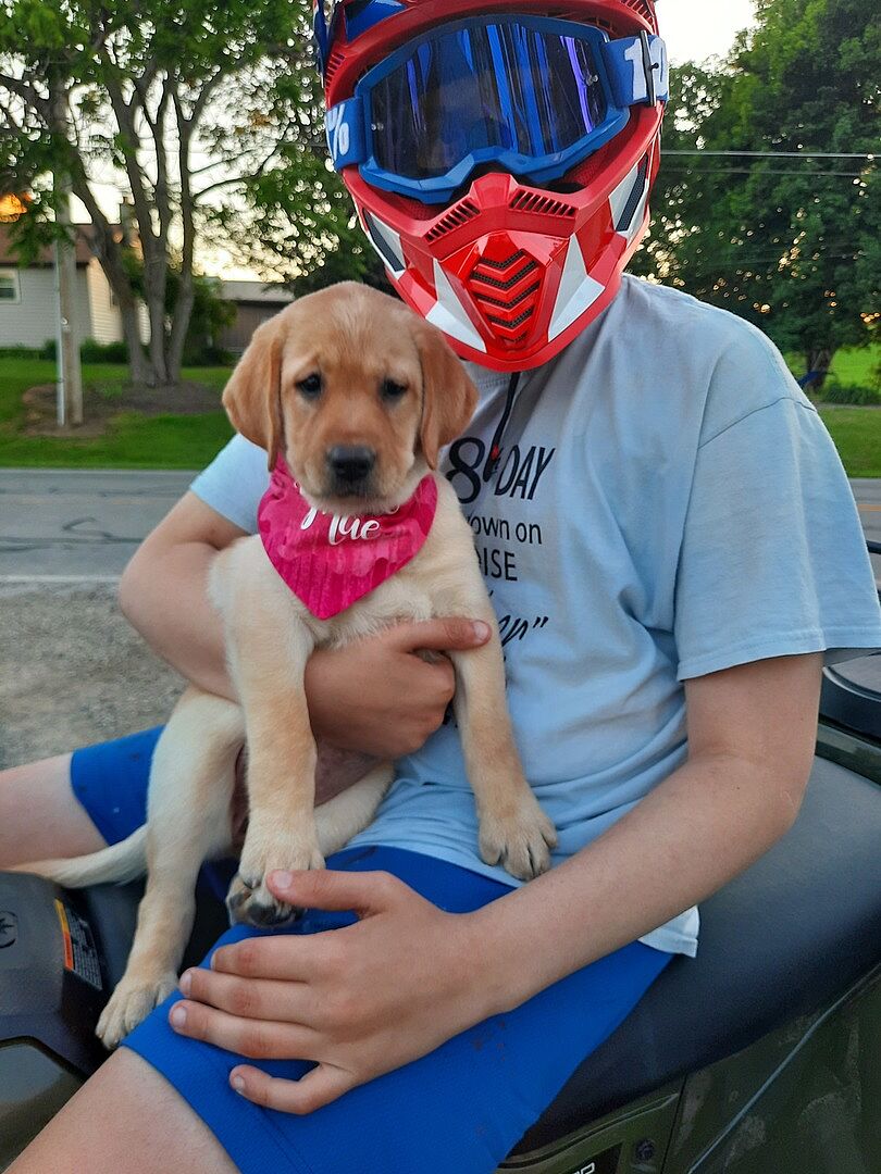 PuppySpot Reviews | PuppySpot