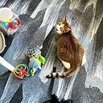 TIE Fighter Houndstooth Blue Rug