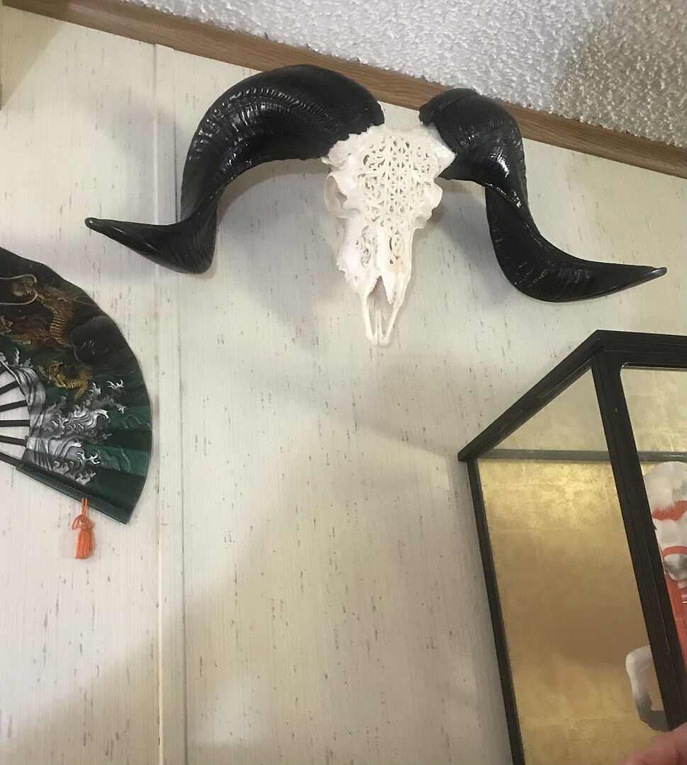 Hand Carved Ram Skull - White Celtic – Skull Bliss