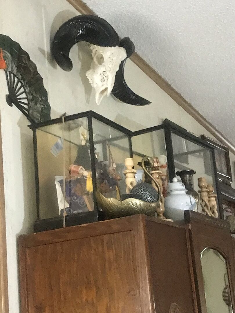 Hand Carved Ram Skull - White Celtic – Skull Bliss