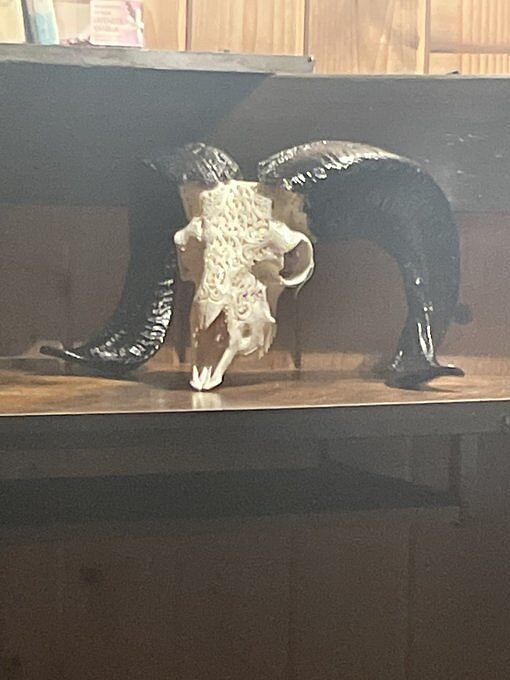 Hand Carved Ram Skull - White Celtic – Skull Bliss