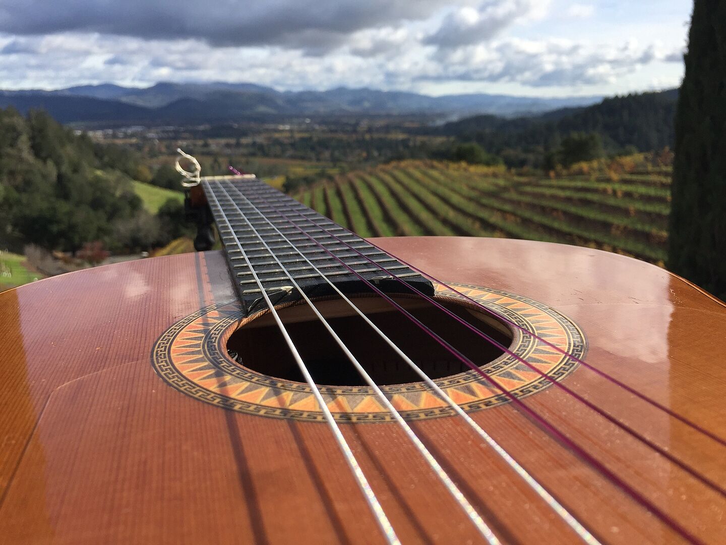 La Bella 820 Elite Flamenco Guitar Strings MT, Bass Set