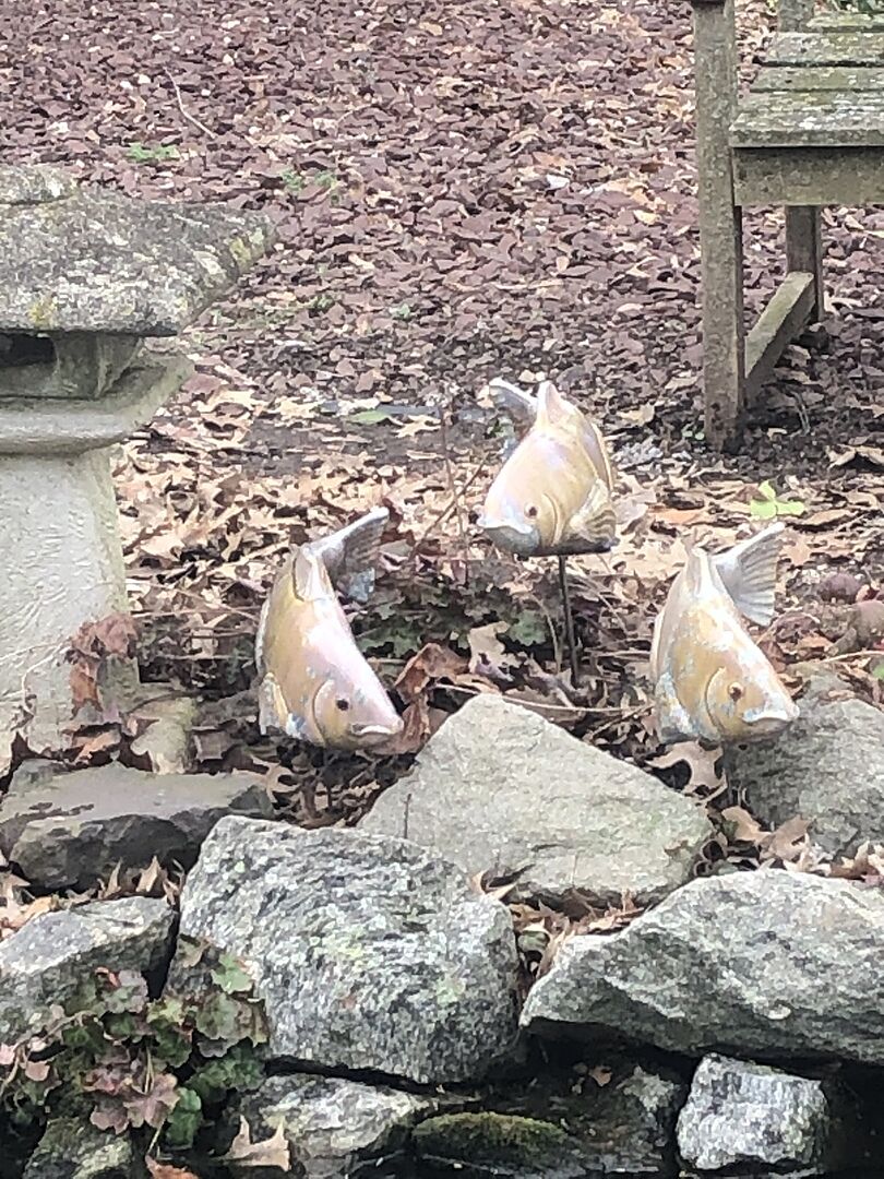 Ceramic Garden Trout | Fish Art | Fish in the Garden