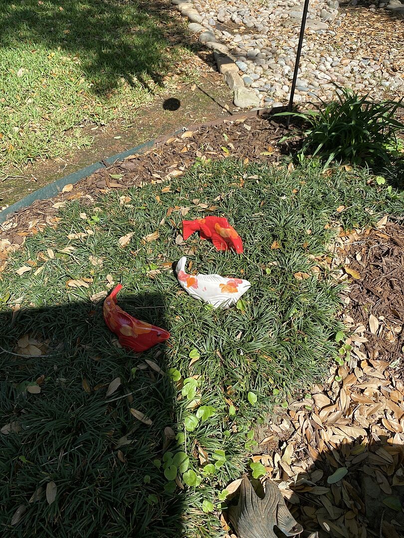 Ceramic Garden Trout | Fish Art | Fish in the Garden