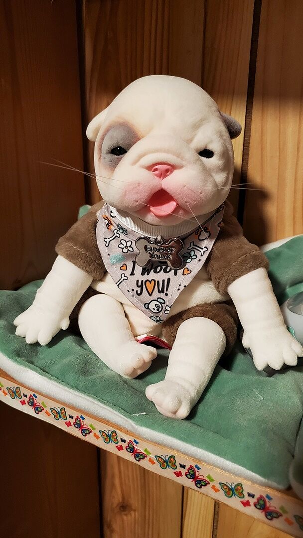 Paradise Galleries Reborn Puppy - Furever Babies - Golden Retriever ...