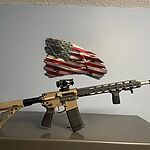 SIG Sauer M400 Pro Review: Best Entry Level AR :: Guns.com