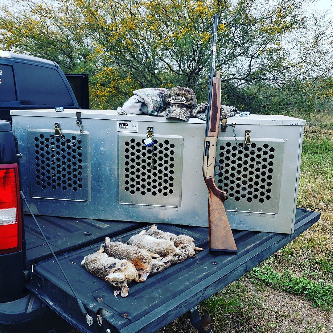 B&P Dove & Quail Shotshells- 28 ga 2-3/4 In 15/16 oz #6 1300 fps 25/ct