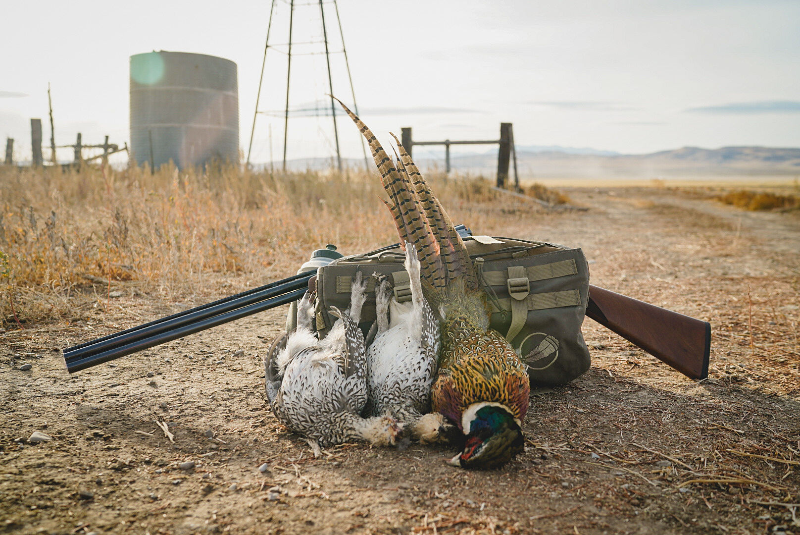 B&P Dove & Quail Shotshells- 28 ga 2-3/4 In 15/16 oz #7.5 1300 ...