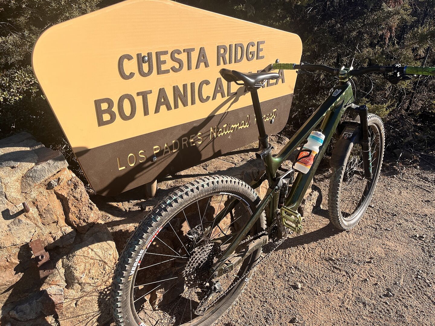 About Us – Versus Bicycle Tires