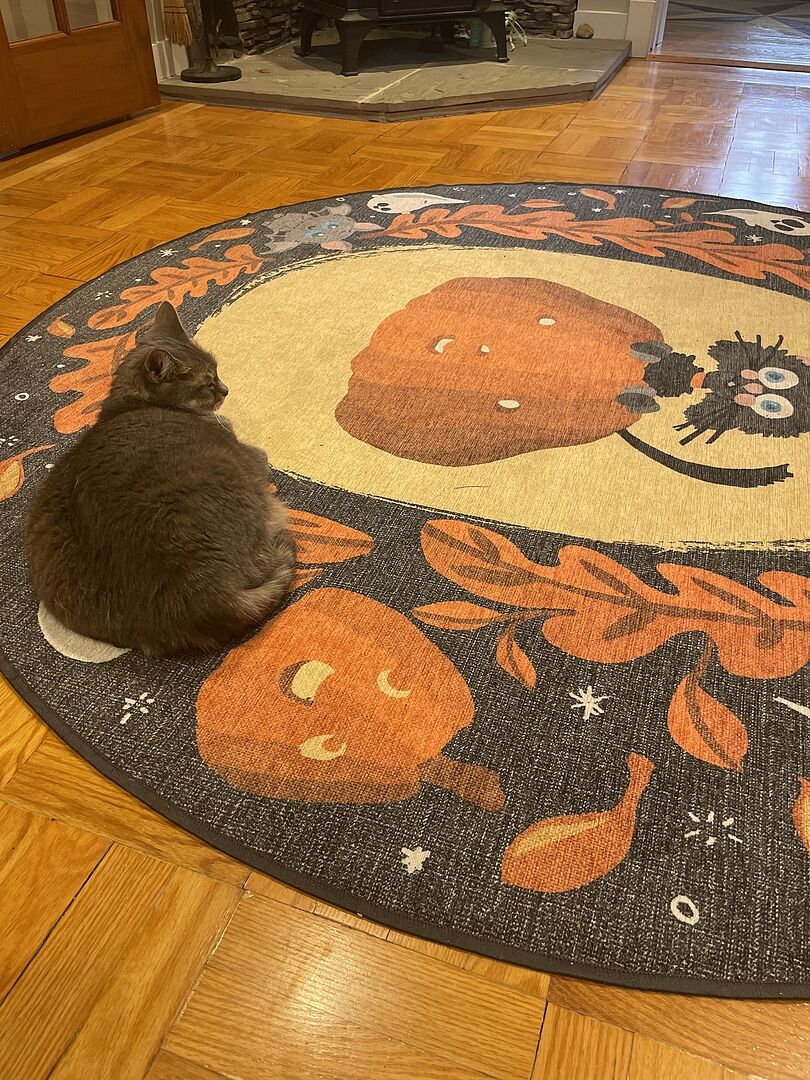 Scaredy Cat Rug
