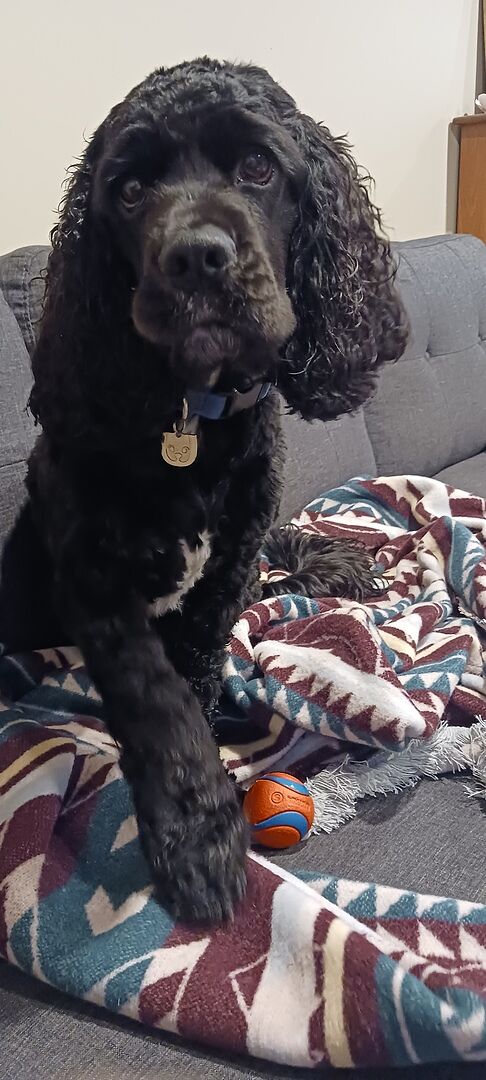 MINI TIPI - Accesories for the home and family