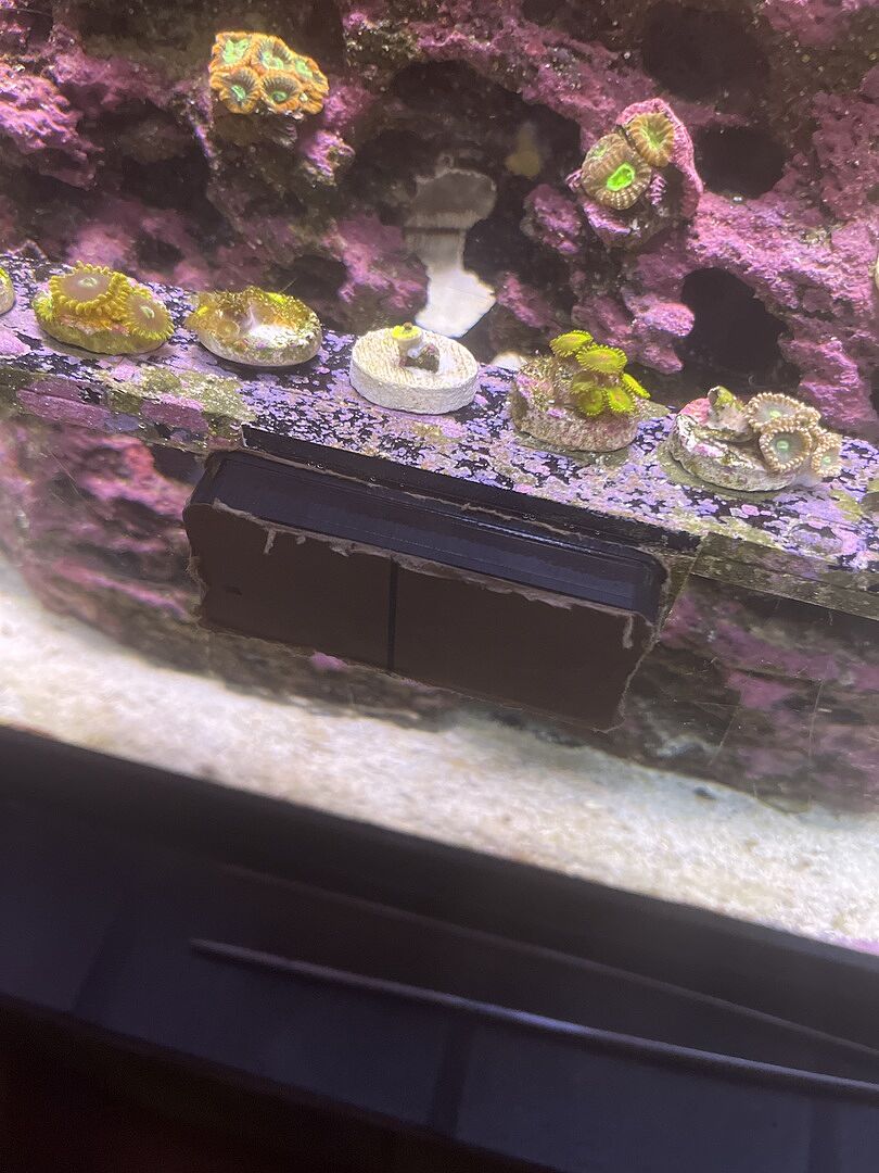 Panta Rhei ECM 75 Hydro Wizard pump (10m standard cable length ...