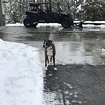 Polaris RZR XP 1000 Plow Pro Snow Plow Mount | SuperATV