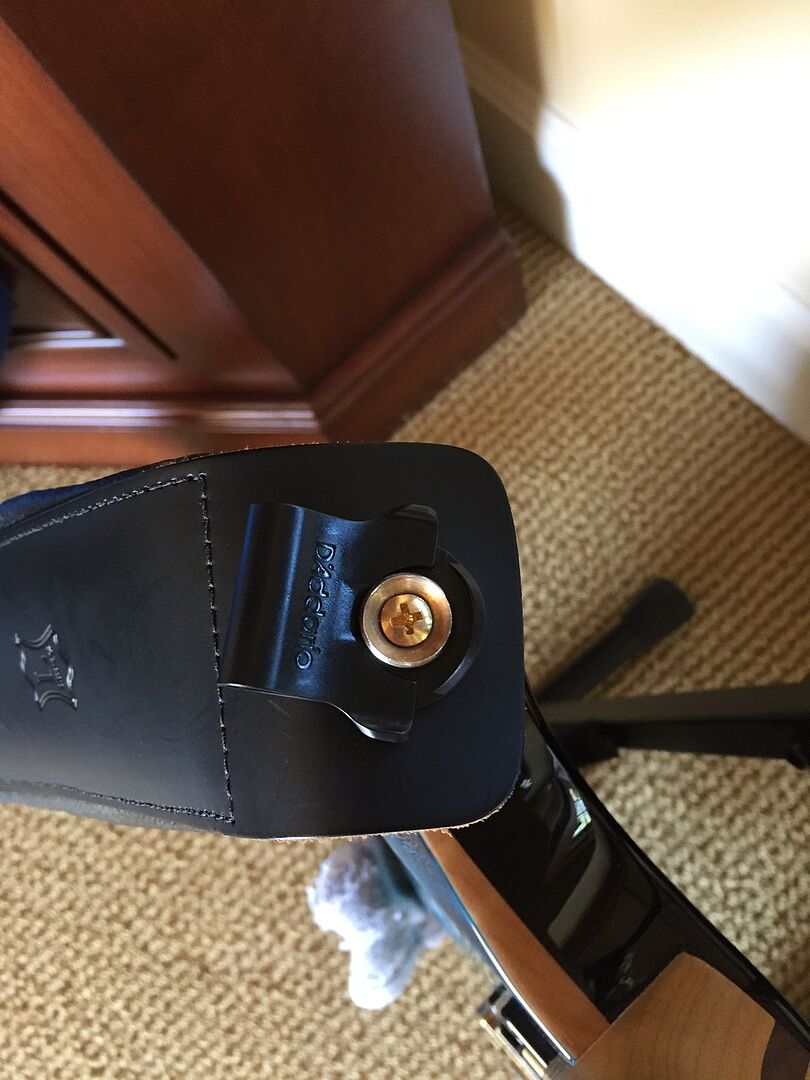 D'Addario Dual Lock Strap Lock - PW-DLC-01