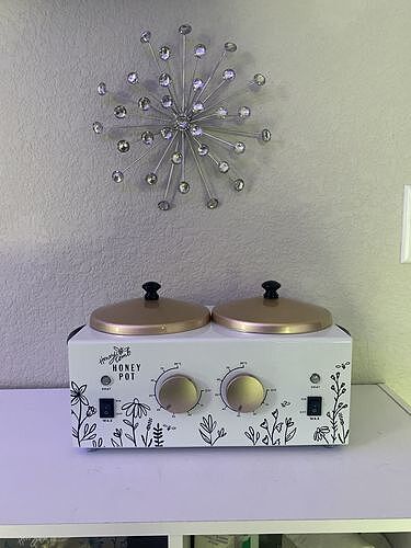 Double Wax Warmer Professional | Dual Wax Warmer Honey Pot