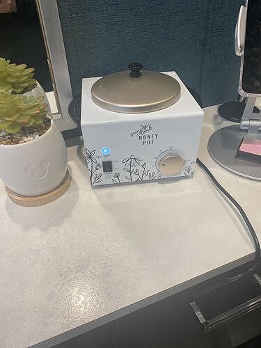 Small Wax Warmer | 1LB Honey Pot Professional