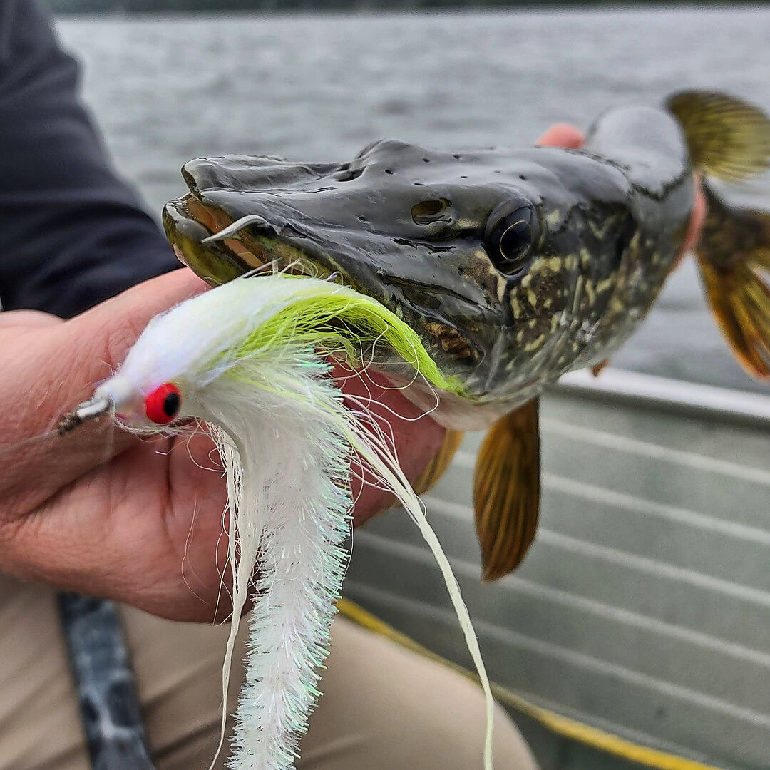 Powerflex Wire Bite Tippet | RIO Products