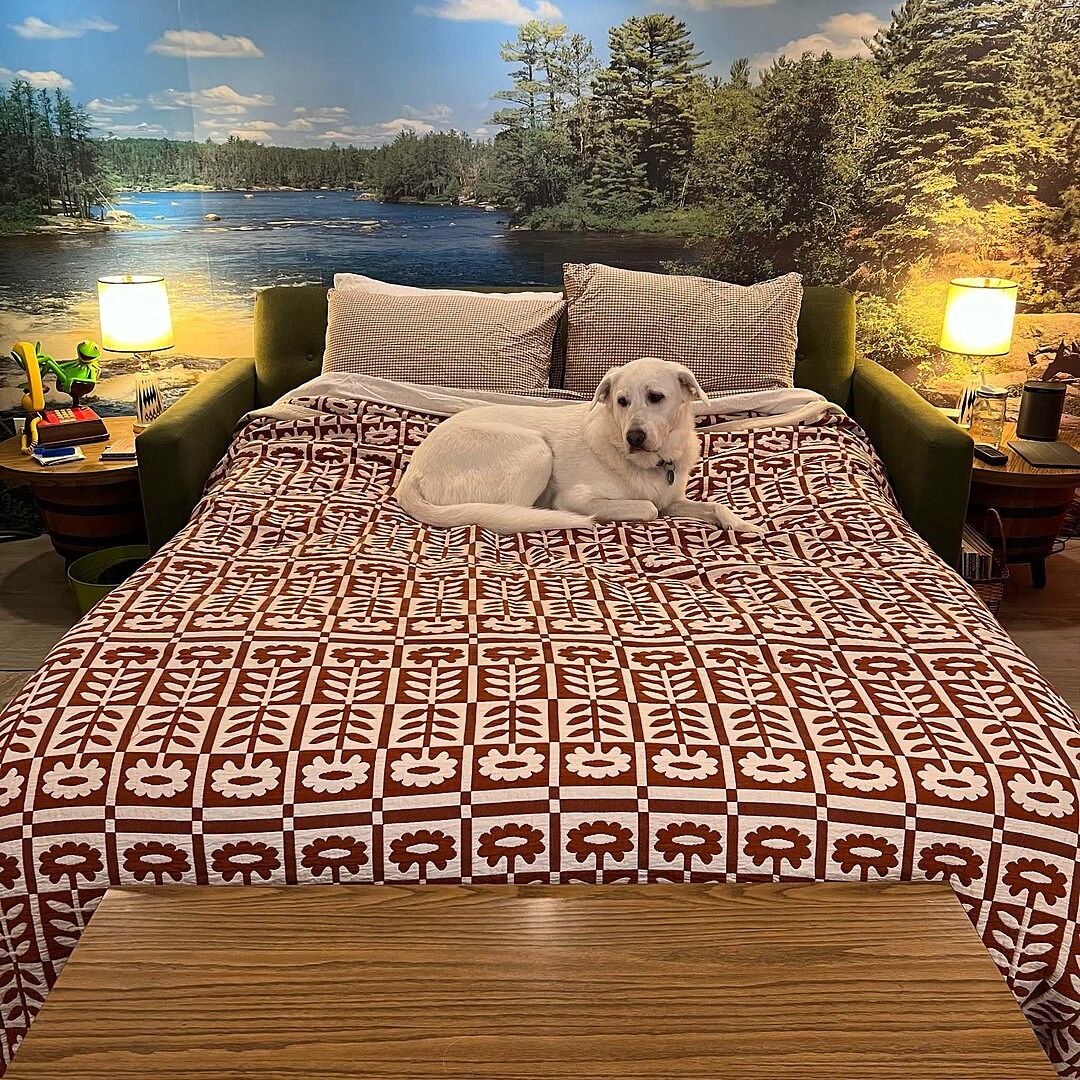 Lisse Performance Rug