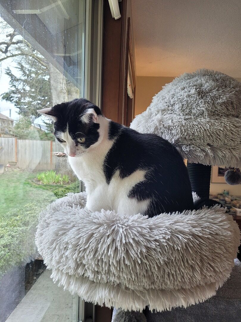 Press | Pure Cravings