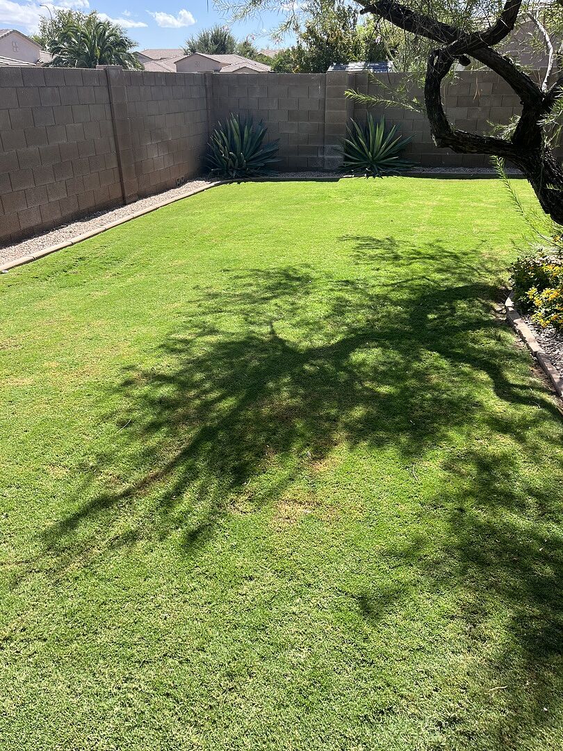 Bare Repair Common Bermudagrass | Lawn Patch Kit | 3-in-1 Repair ...