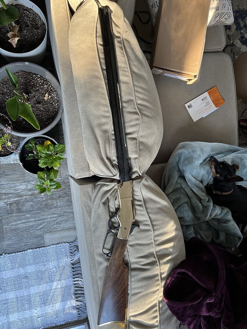 Henry Original Henry - For Sale - New :: Guns.com