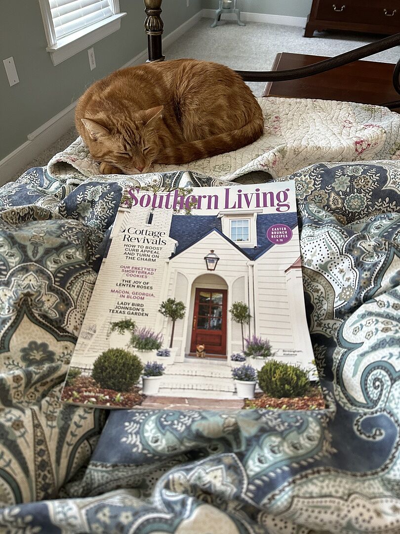 Do It Yourself Magazine Subscription | Magazines For DIYers