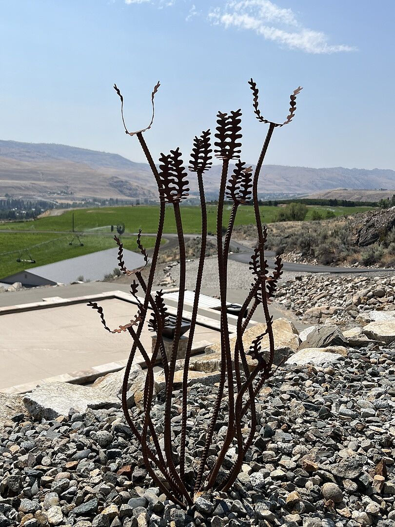 Ocotillo Cactus Metal Art