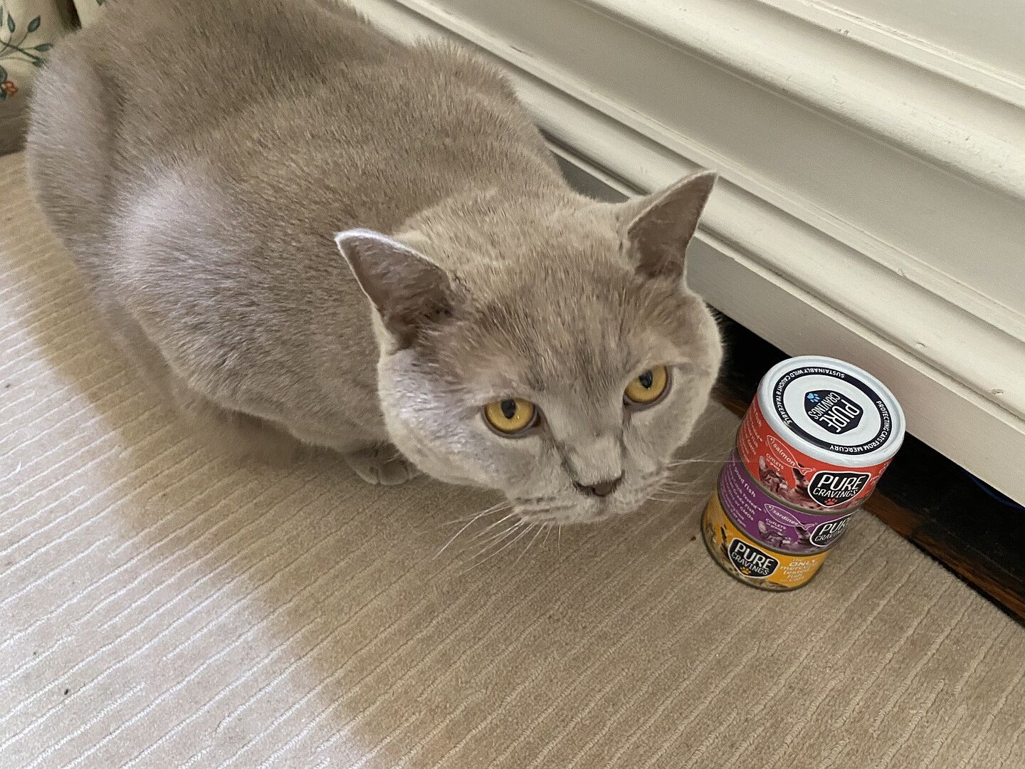 Find | Pure Cravings