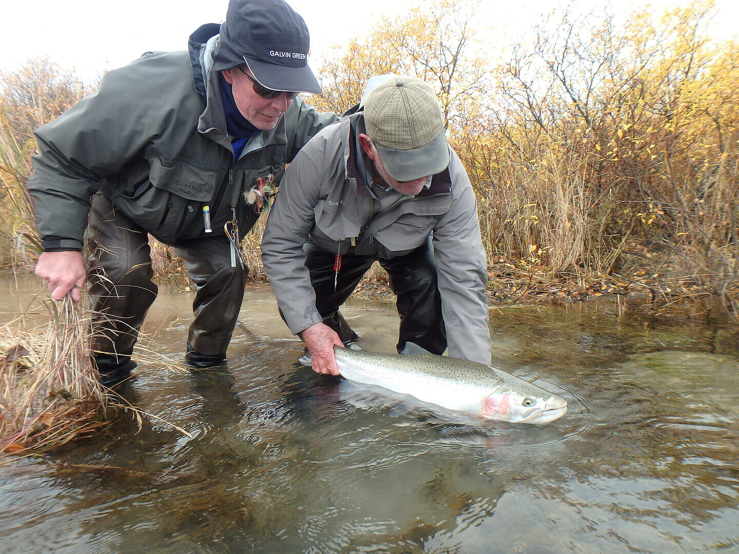 Elite Switch Chucker Fly Line | RIO Products