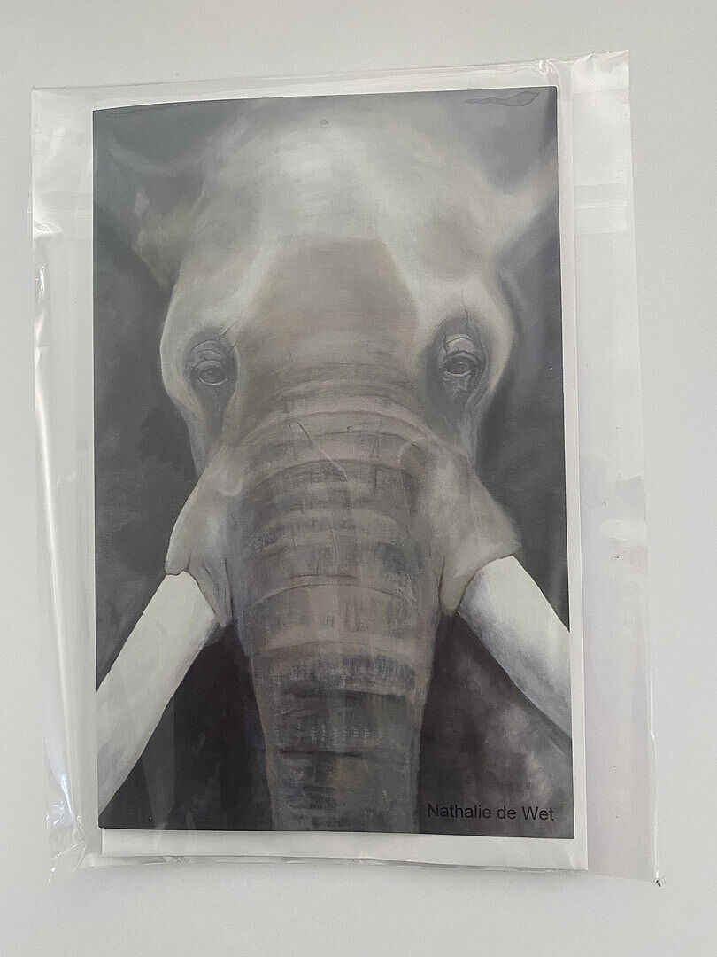 Greeting Card, Customised Cards | VistaPrint AU