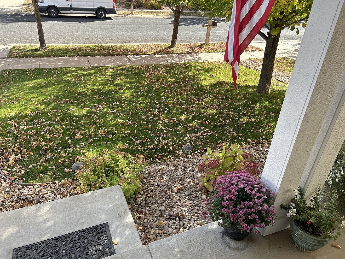 Sunday Lawn Care Reviews | Sunday Lawn Care