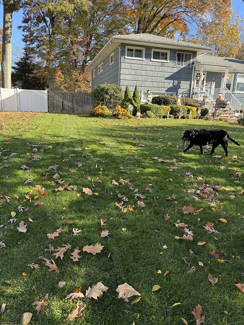 Sunday Lawn Care Reviews | Sunday Lawn Care