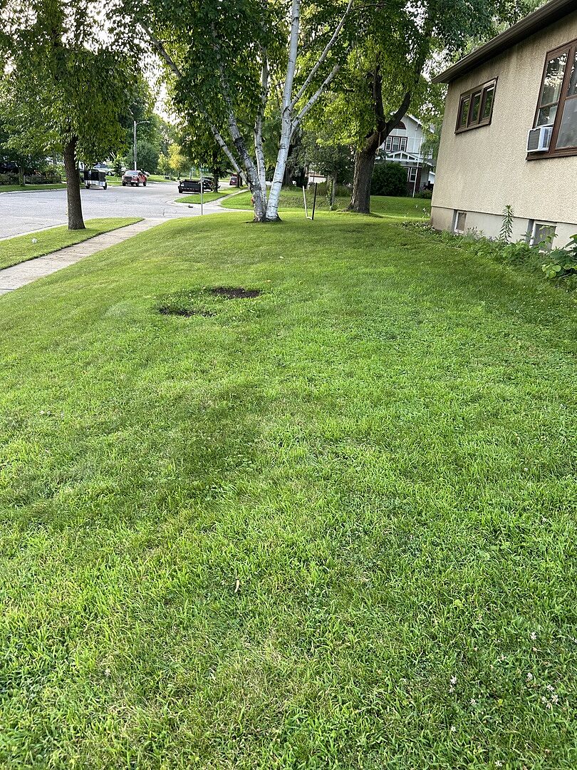 Sunday Lawn Care Reviews | Sunday Lawn Care