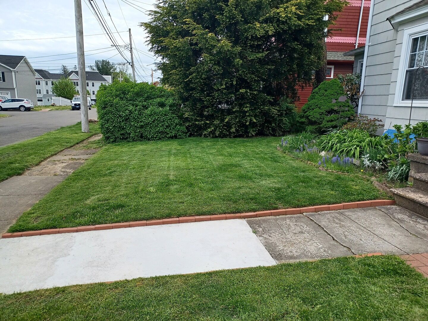 Sunday Lawn Care Reviews | Sunday Lawn Care