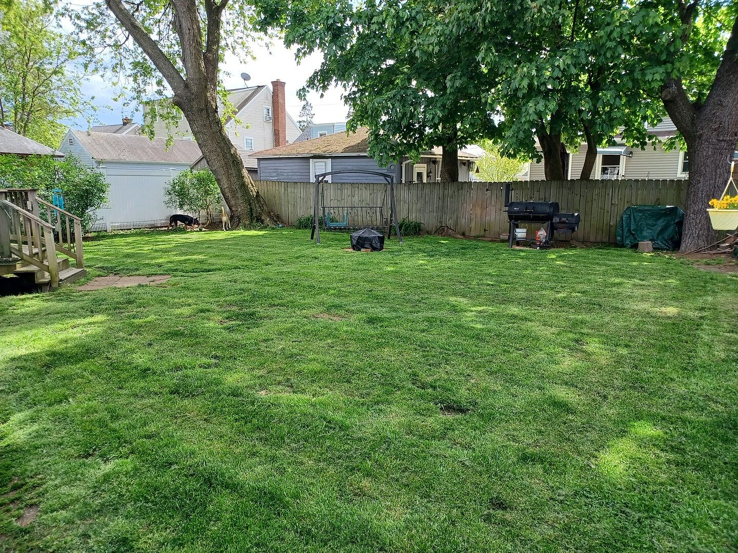 Sunday Lawn Care Reviews | Sunday Lawn Care
