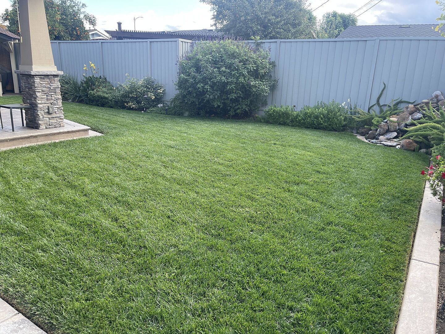 Sunday Lawn Care Reviews | Sunday Lawn Care