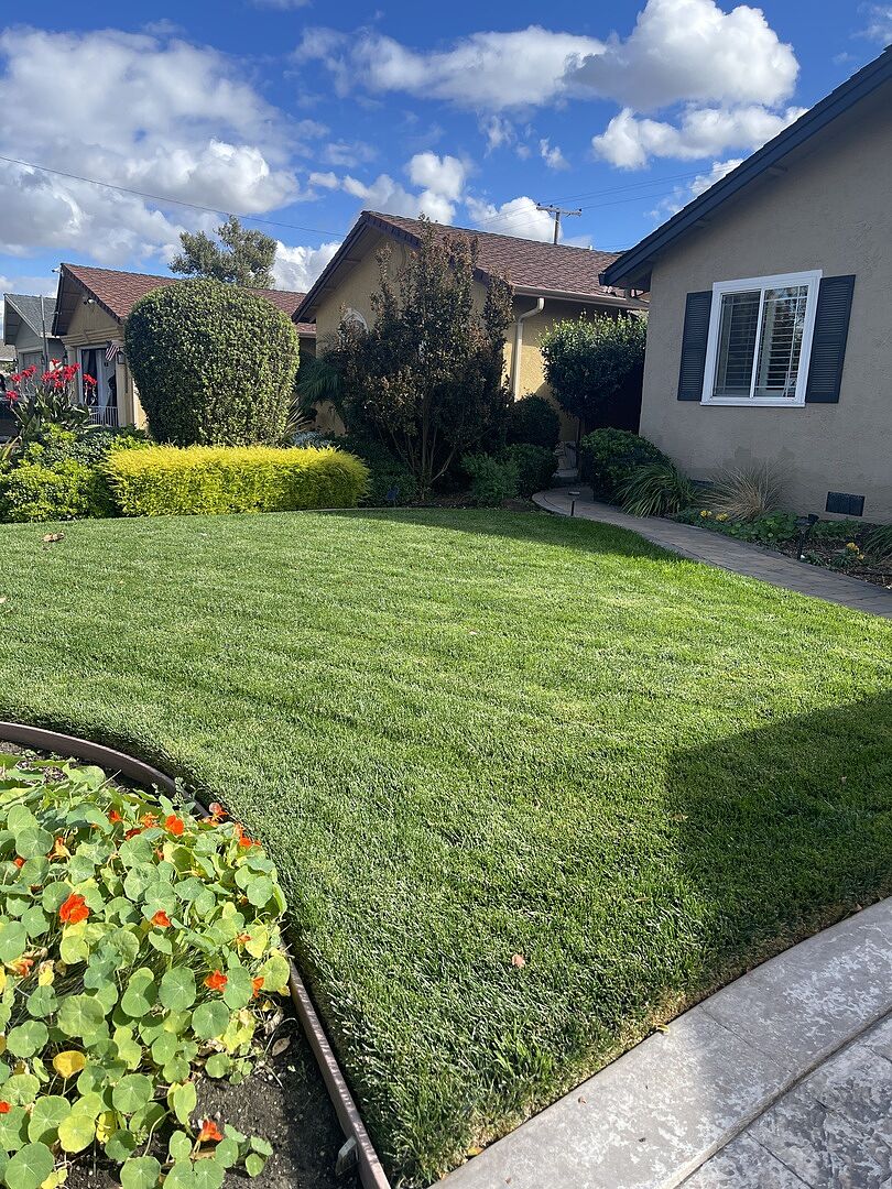 Sunday Lawn Care Reviews | Sunday Lawn Care