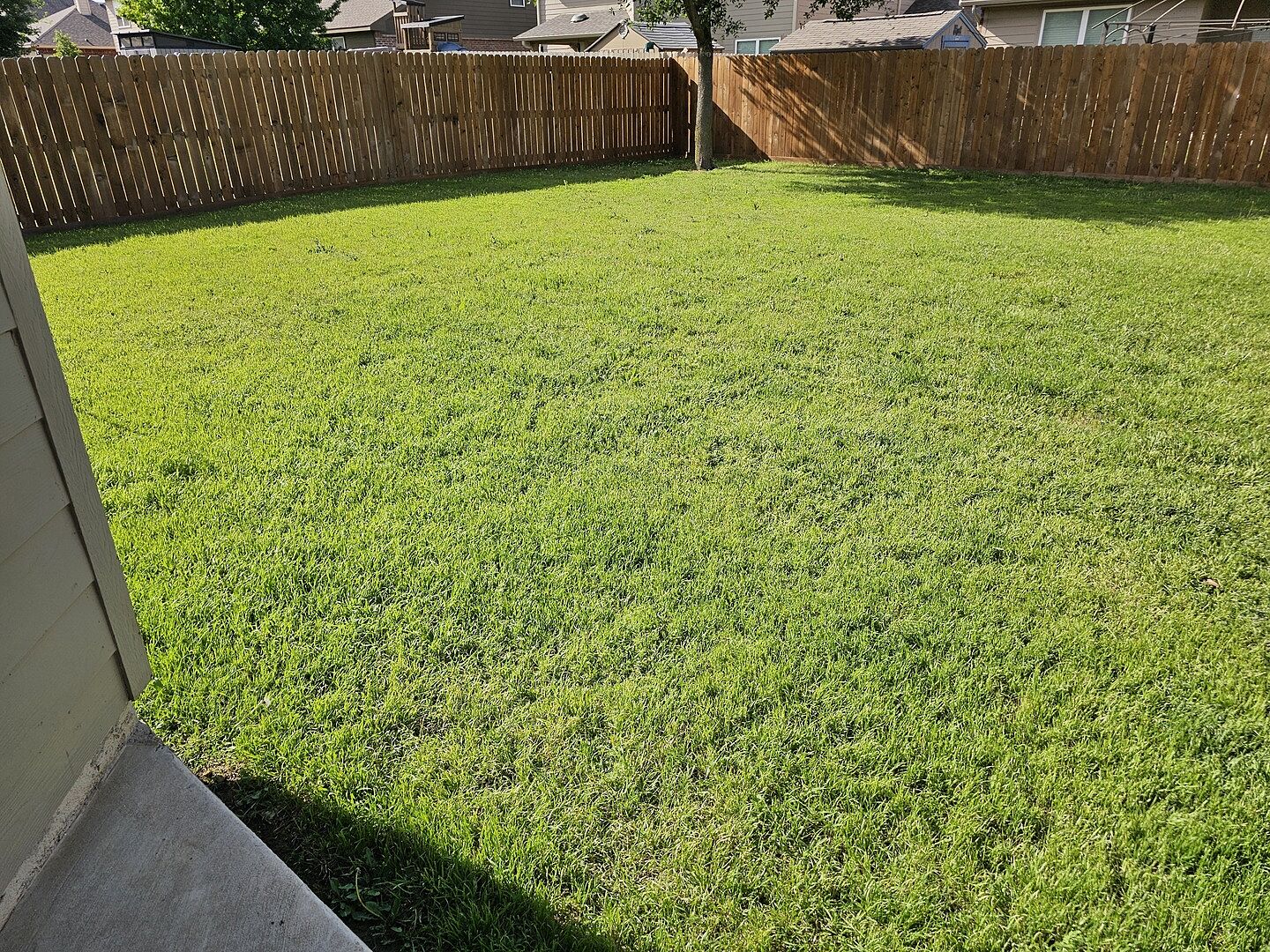 Sunday Lawn Care Reviews | Sunday Lawn Care