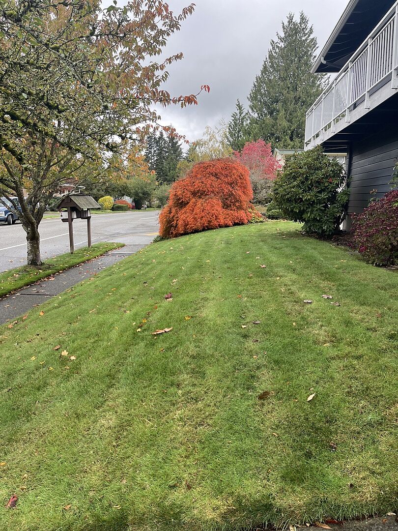 Sunday Lawn Care Reviews | Sunday Lawn Care