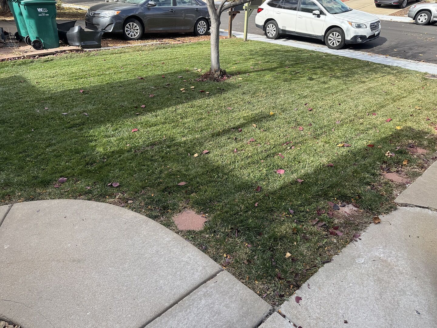 Sunday Lawn Care Reviews | Sunday Lawn Care